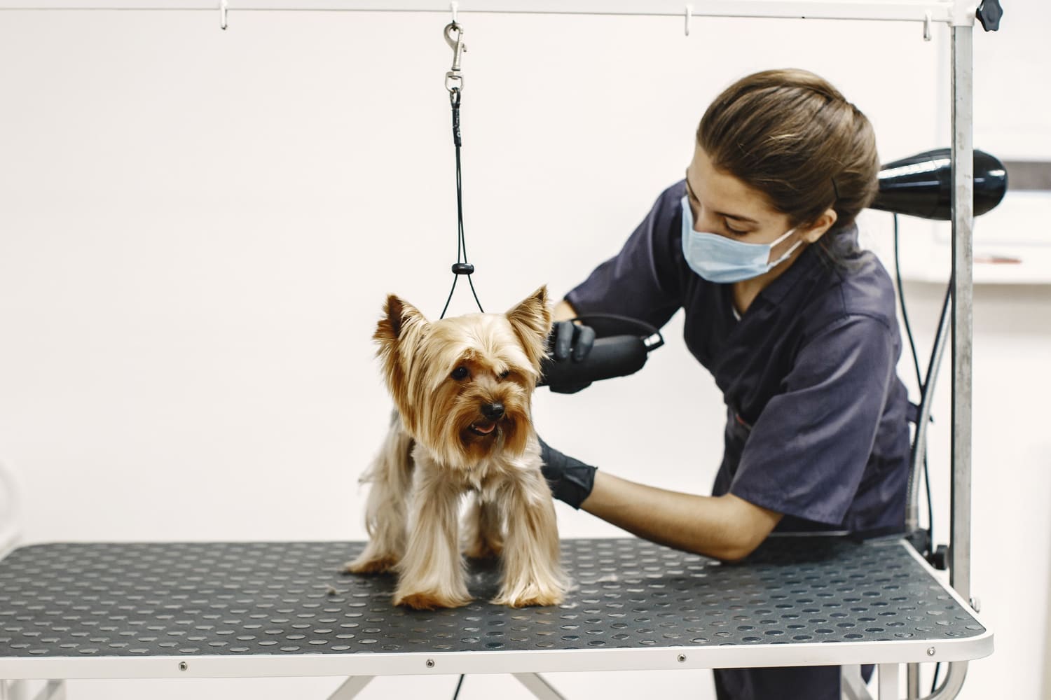 Uniformes para Pet Shop: Arrase e Encante seus Clientes